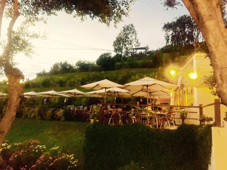 Los mejores restaurantes en Barranco Lima